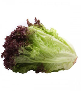 សាលាដឡូឡូ(ក្រហម)ខ្មែរ